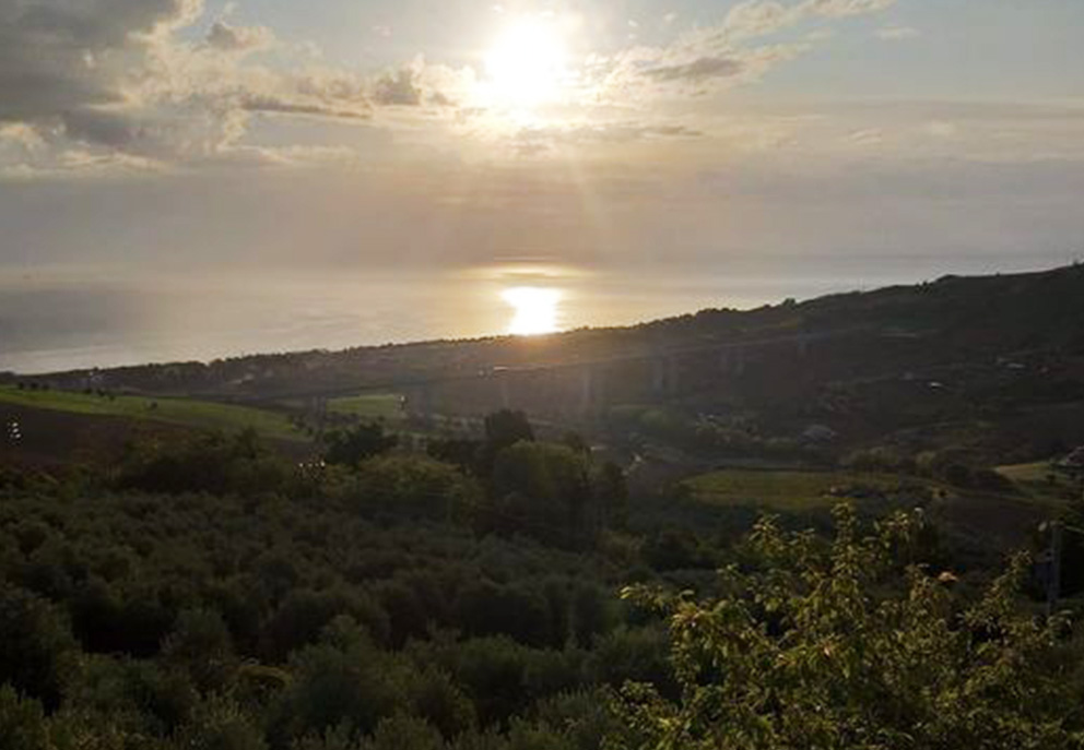 Garra - Oliocentrica